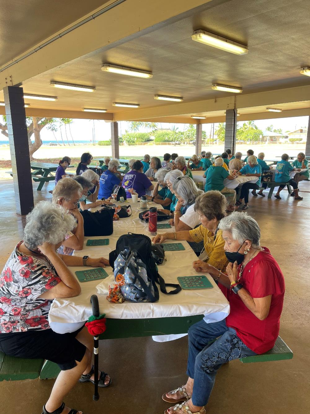Senior Programs - Kauai County, HI